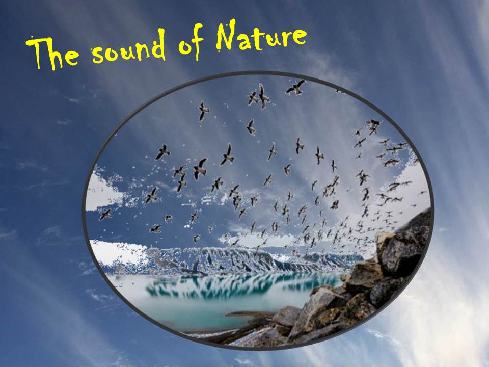 The sound of Nature | 環球天道傳基協會